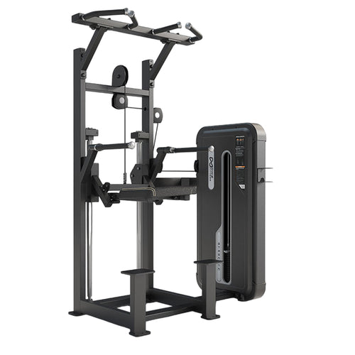 Vertical Knee Raise Machines - Fitness Factory